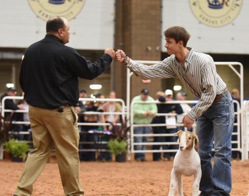 The 2023 American Royal Livestock Show - Nigro's Blog